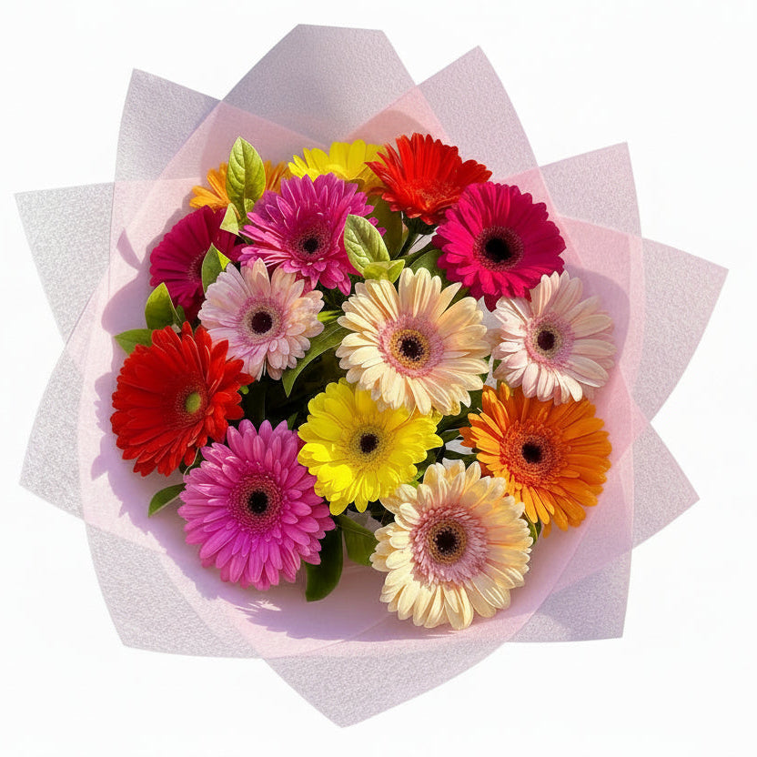Absolutely Beautiful Flowers Raymond Terrace