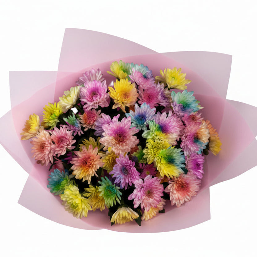 Absolutely Beautiful Flowers Raymond Terrace