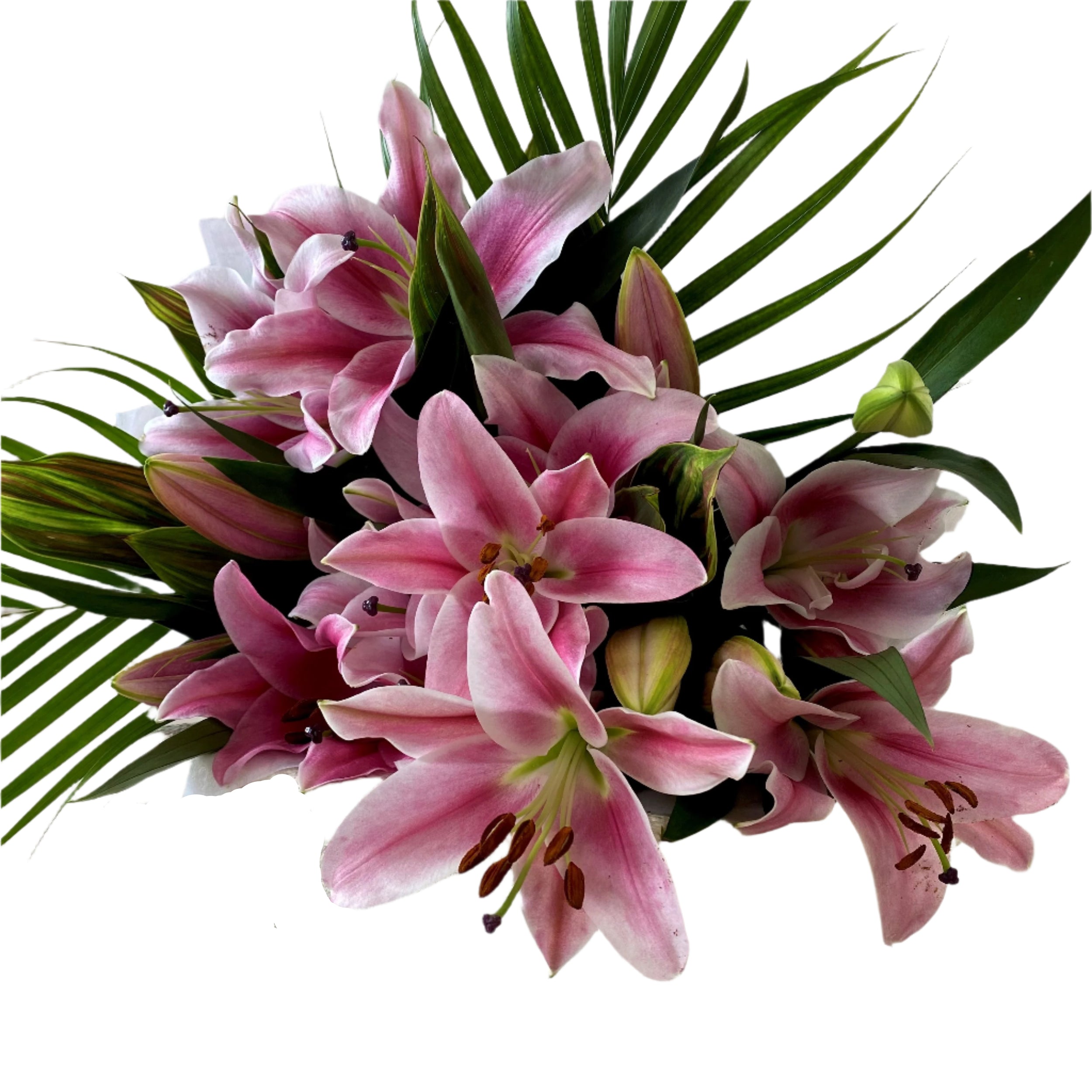 Absolutely Beautiful Flowers Raymond Terrace