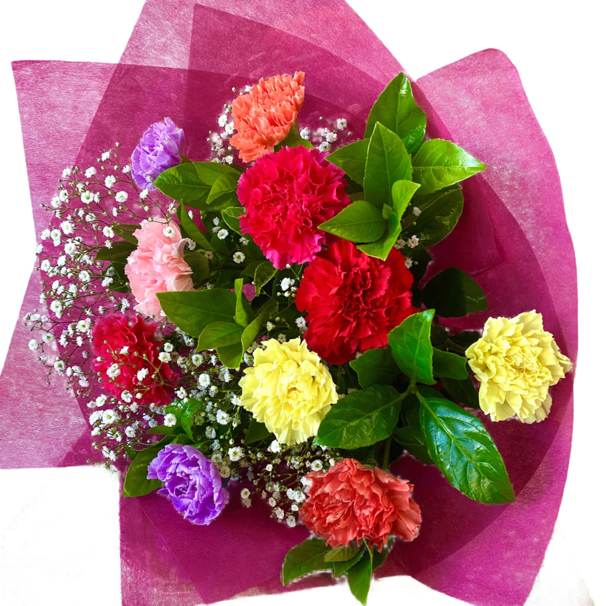 Absolutely Beautiful Flowers Raymond Terrace