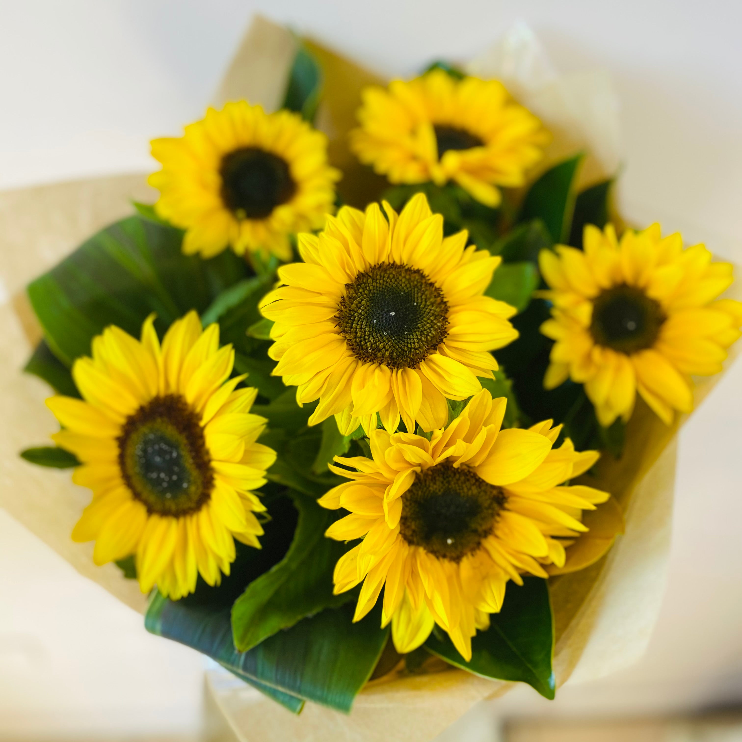 Absolutely Beautiful Flowers Raymond Terrace